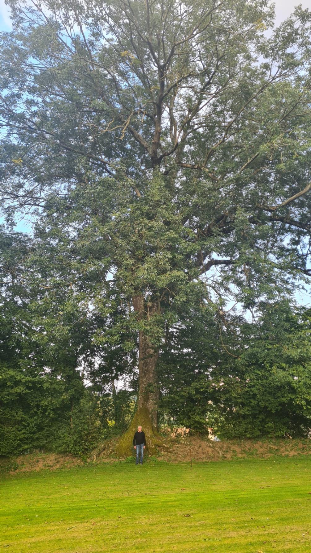 Carte interactive - Association A.R.B.R.E.S